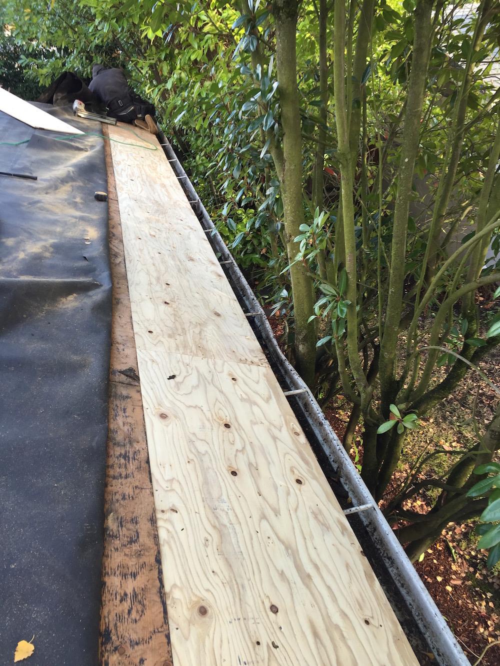Roof repair for dry rot damage - Roofing Contractor - Current ...